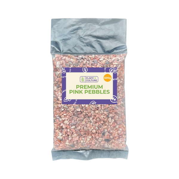 Premium Pink Pebbles by Plant Culture PH