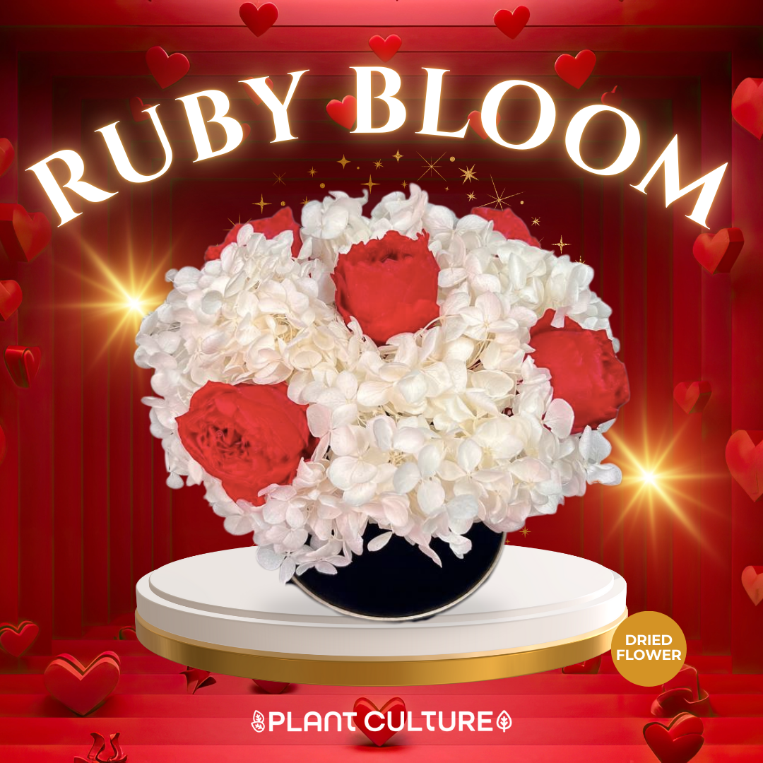 Ruby Bloom Preserved Dried Flower Arrangement – Plant Culture PH