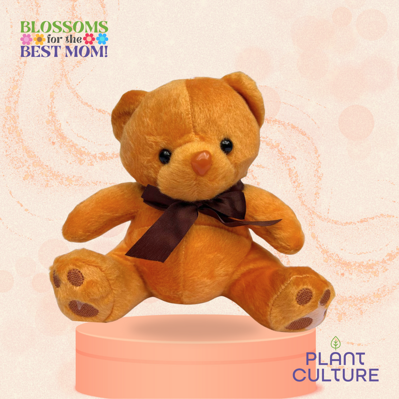 Steve Bear Teddy Bear – Plant Culture PH
