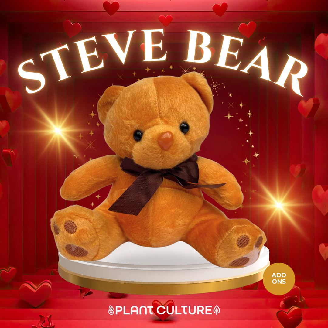 Steve Bear Teddy Bear – Plant Culture PH