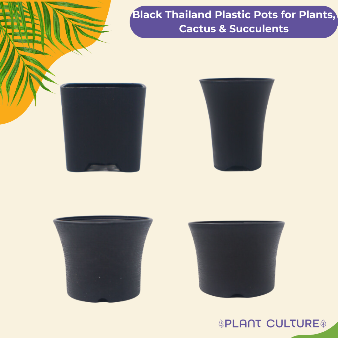 Pots and Planters – Plant Culture PH