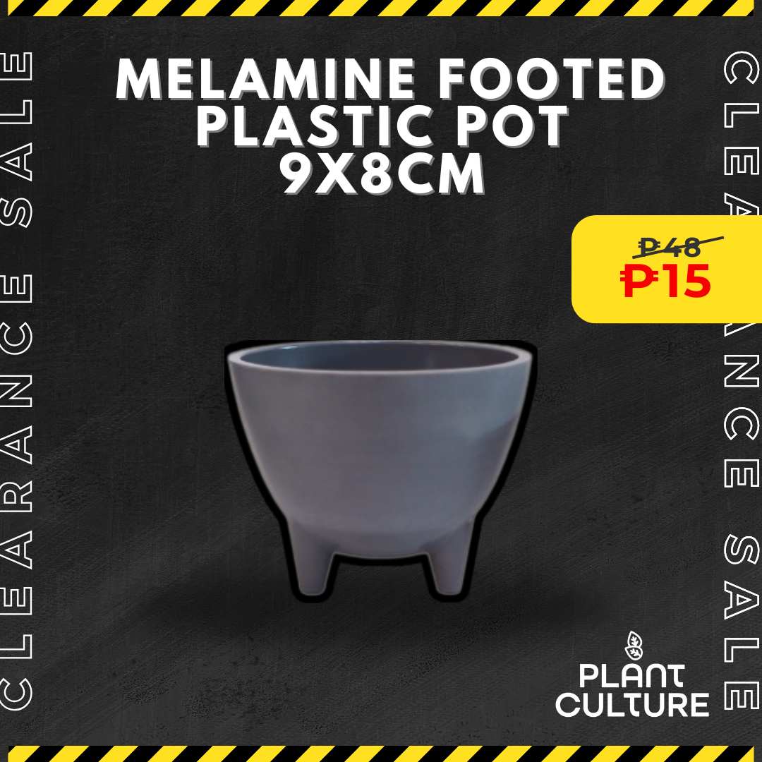 Nordic Minimalist Footed Melamine Planter | Plastic Pots – Plant Culture PH