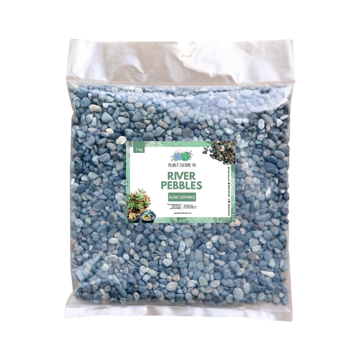 River Pebbles by Plant Culture PH