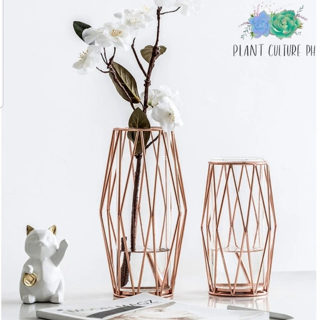 Vases – Plant Culture PH